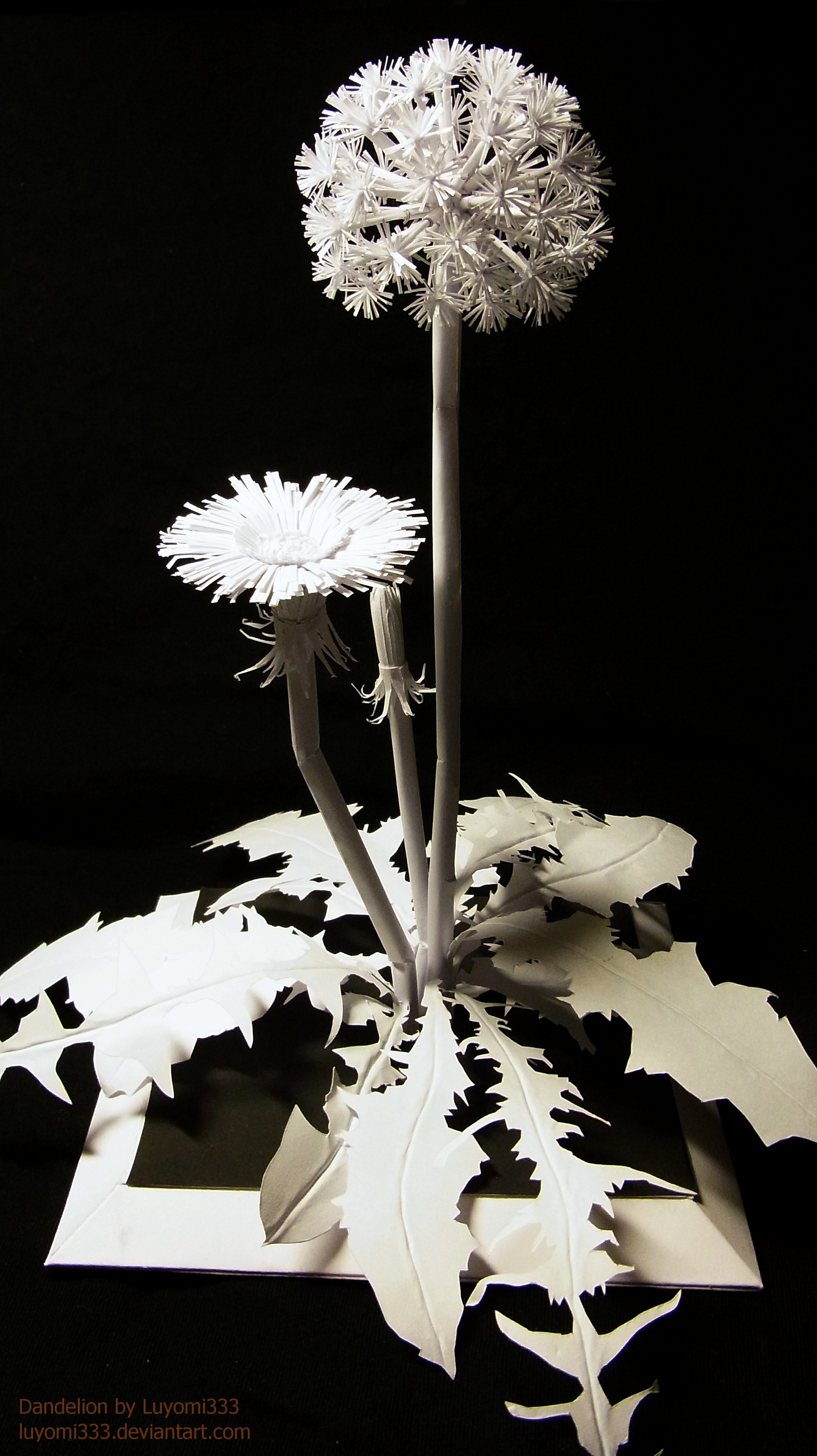 Snow Dandelion by Luyomi333 on DeviantArt