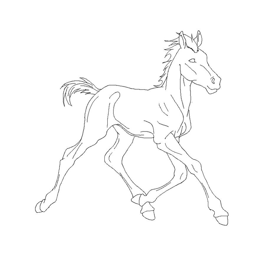 Foal Lines 3 by xValkyrja on DeviantArt