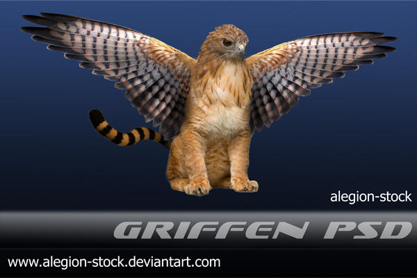 Griffen 1 PSD by Alegion-stock on DeviantArt