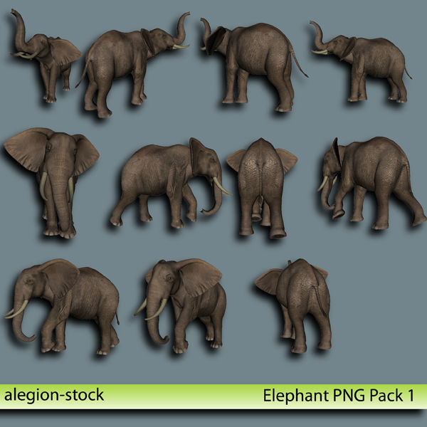 Elephant PNG Stock Pack 1 by Alegion-stock on DeviantArt