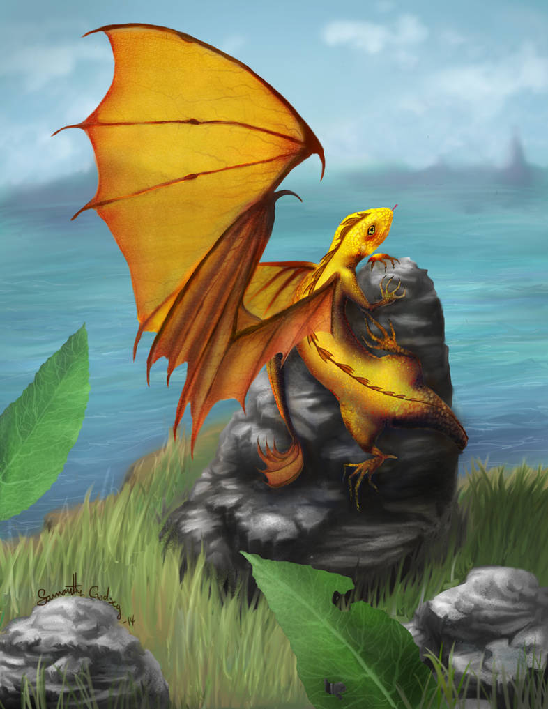 Fire Lizard by CosmosFlurry on DeviantArt