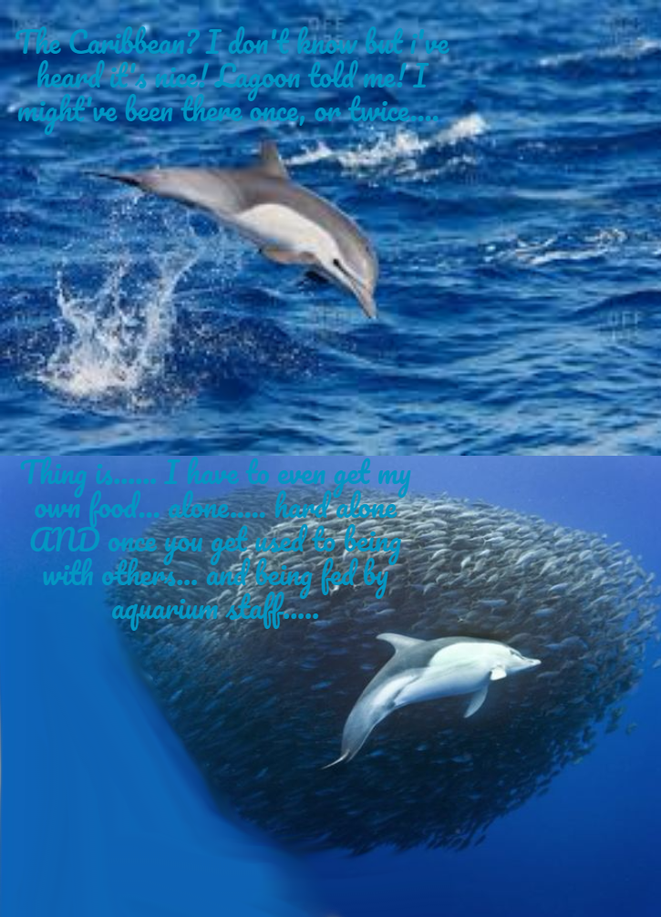 Ocean Comic: Page 4 by Blizzard-and-Friends on DeviantArt