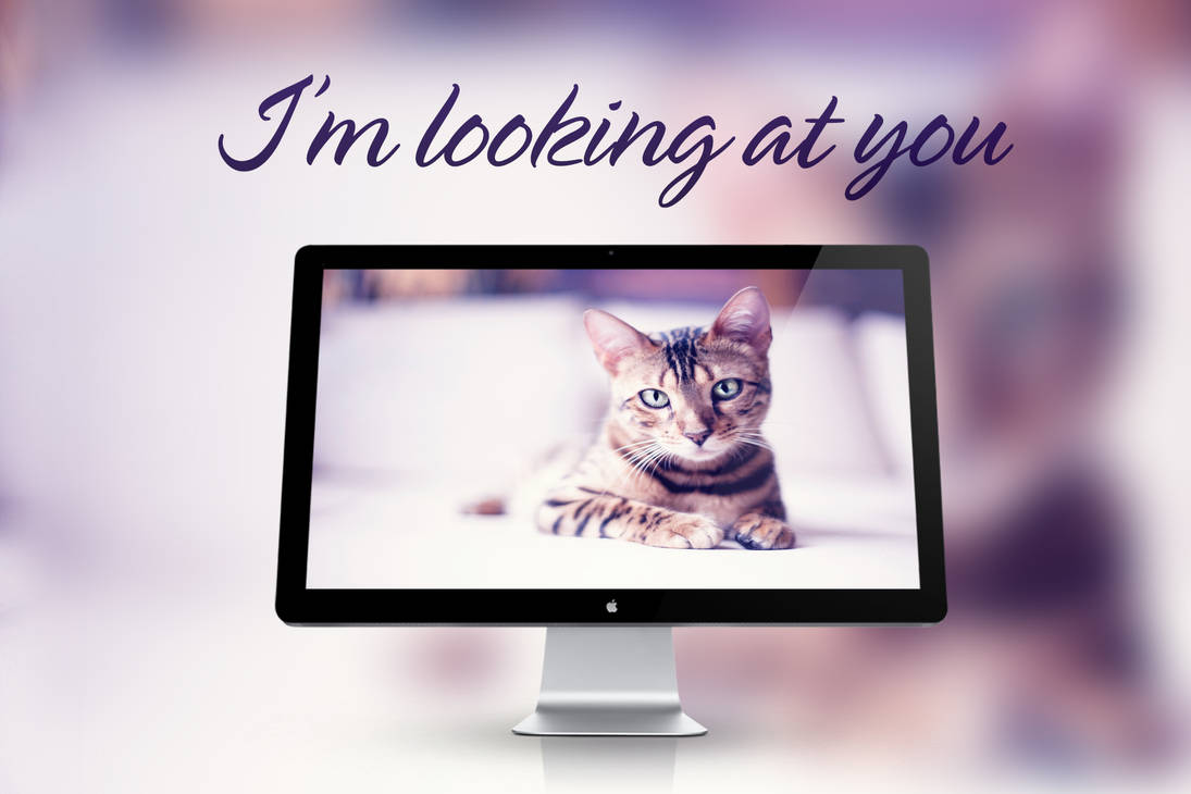 I'm looking at you - Wallpapers by Hercules1997 on DeviantArt
