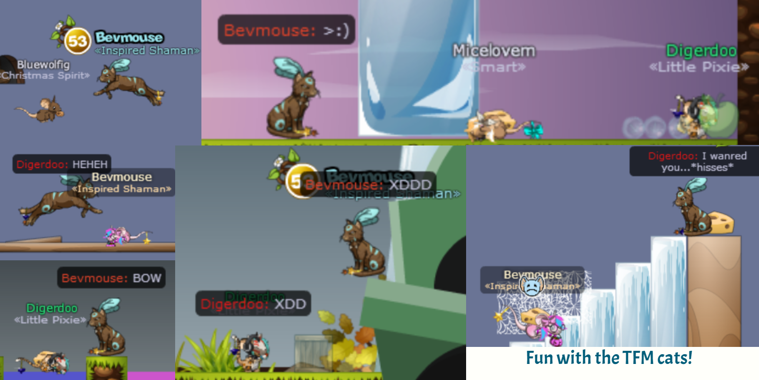 Fun with the Transformice cats! by SSTobius on DeviantArt