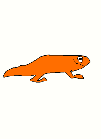 Ned the Newt by NomisKahn on DeviantArt