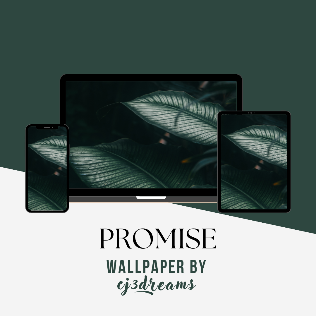 PROMISE - Wallpapers by cj3dreams [3888x2592] by i3Dimensional on ...