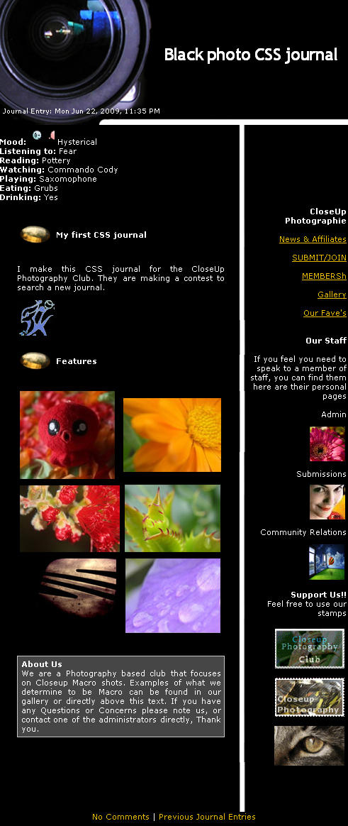 black photo CSS journal by wind-hime-kaze on DeviantArt