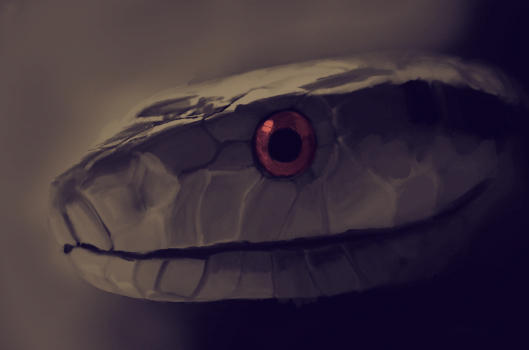 a snake by BoguidoOtaku on DeviantArt