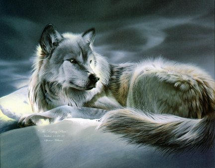 Wild Wolf Within 4 by Leann-Blackwolf on DeviantArt