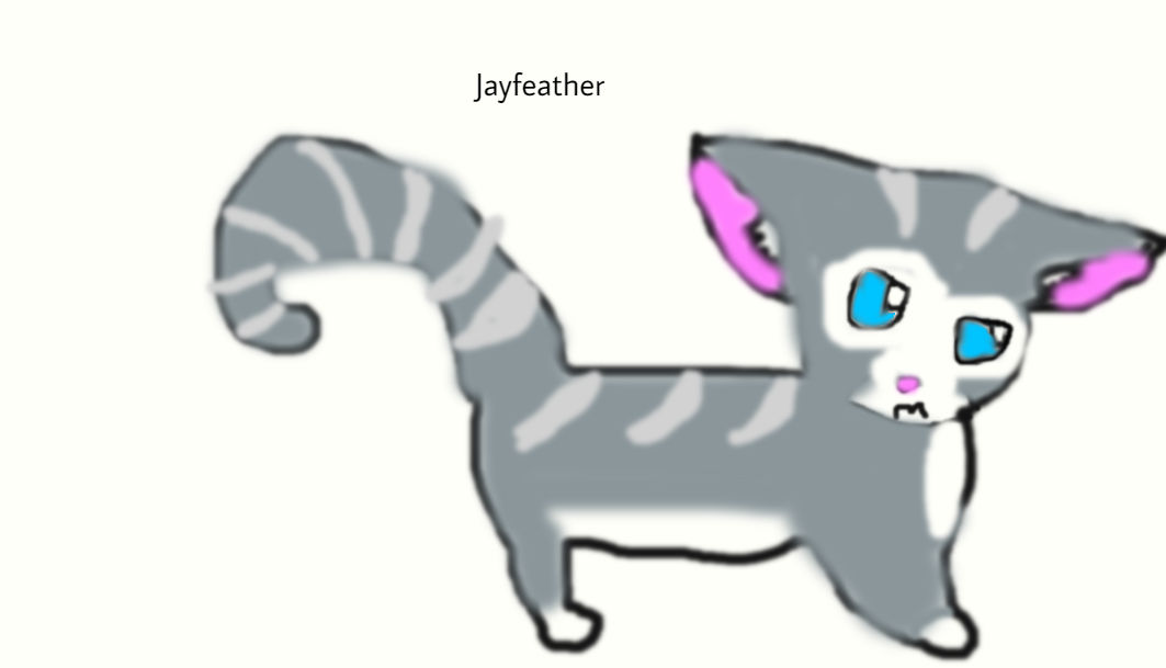 Warriors designs: 8. Jayfeather by yugothorne on DeviantArt