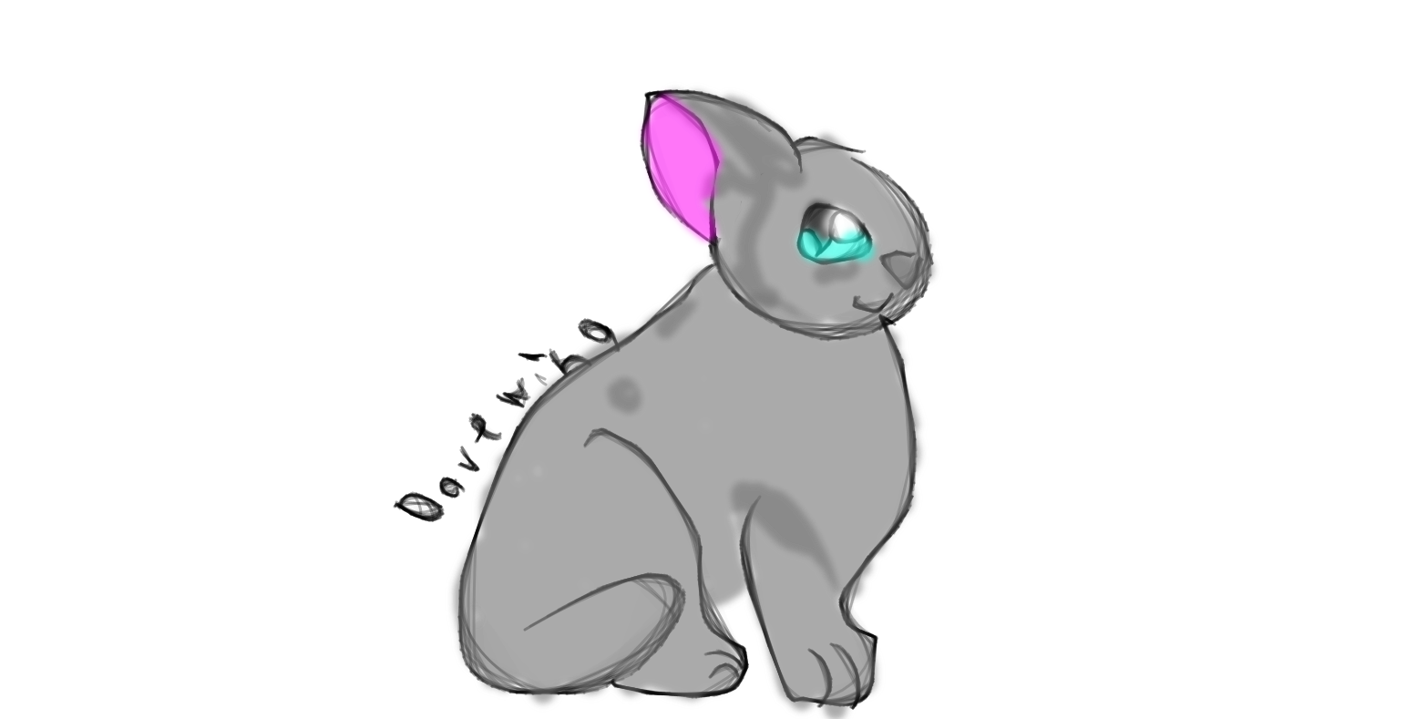 Dovewing redesign by yugothorne on DeviantArt