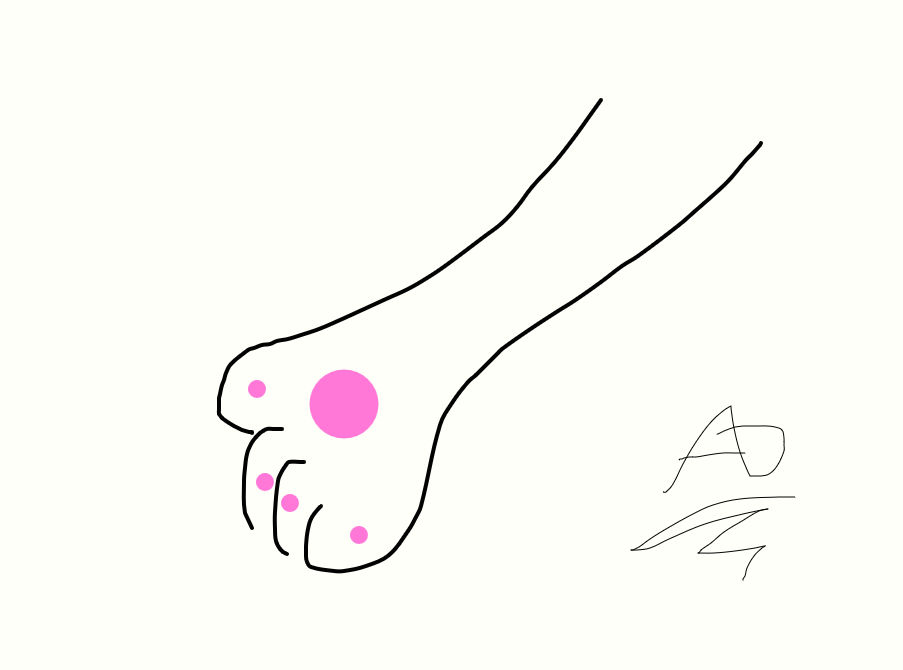 paws by MeowcattiOwO on DeviantArt