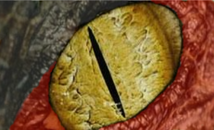 Tyrannozilla's eye by TheSpiderAdventurer on DeviantArt