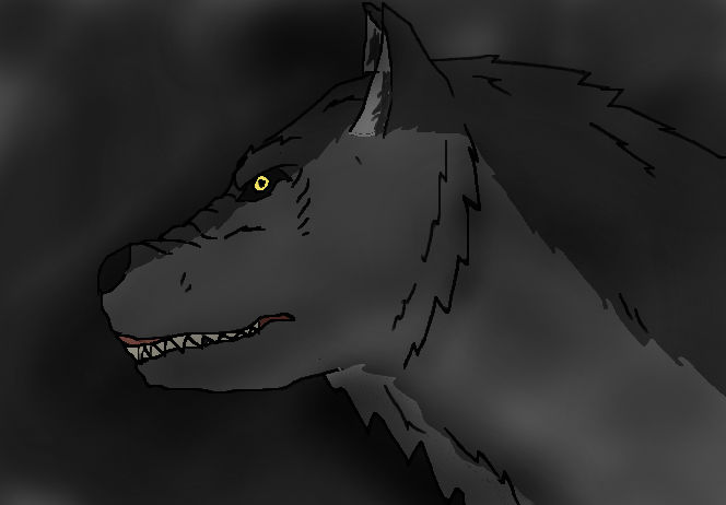 Werewolf headshot drawing by TheSpiderAdventurer on DeviantArt