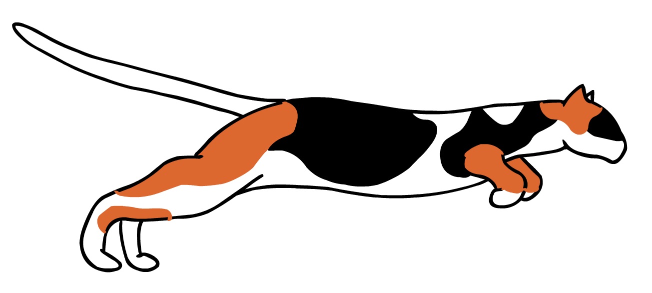 Cat run-cycle pencil test 2d animation by rhythmichysteria on DeviantArt