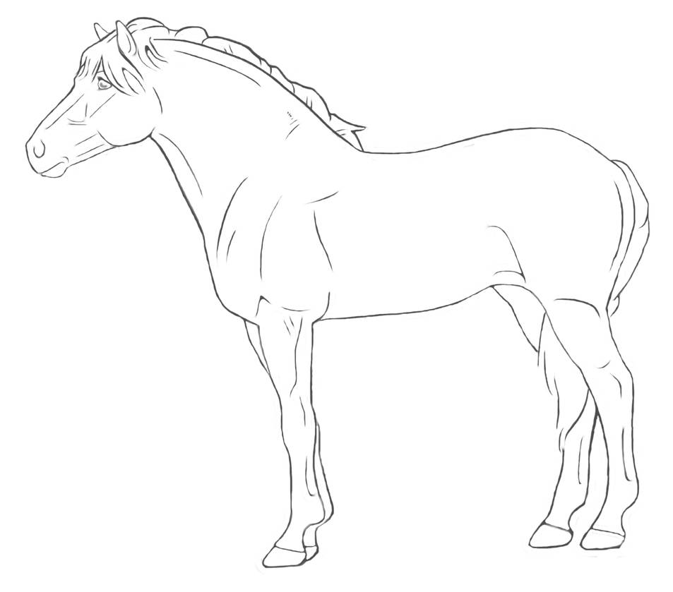 Mustang Line Art by RumBrook on DeviantArt