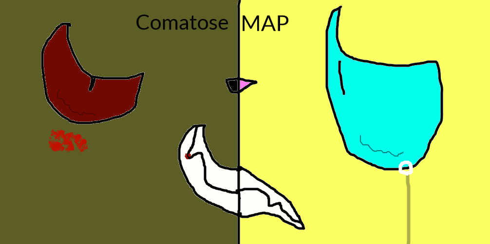 Comatose MAP by ApprenticeCatTitan on DeviantArt