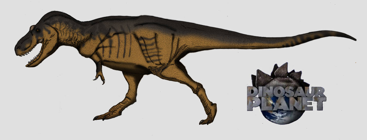 Dinovember day 8 - Daspletosaurus by kingrexy on DeviantArt