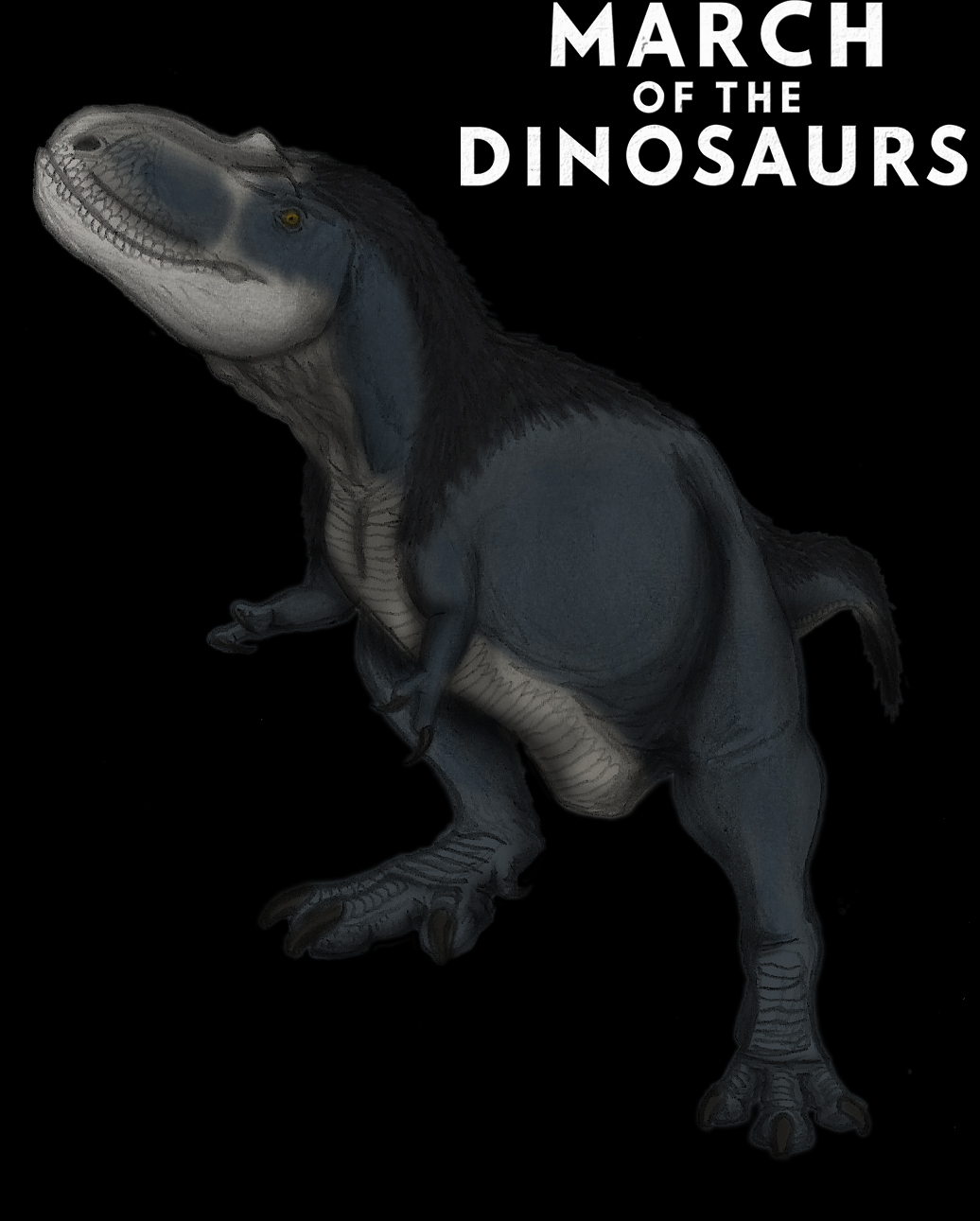 Albertosaurus by kingrexy on DeviantArt