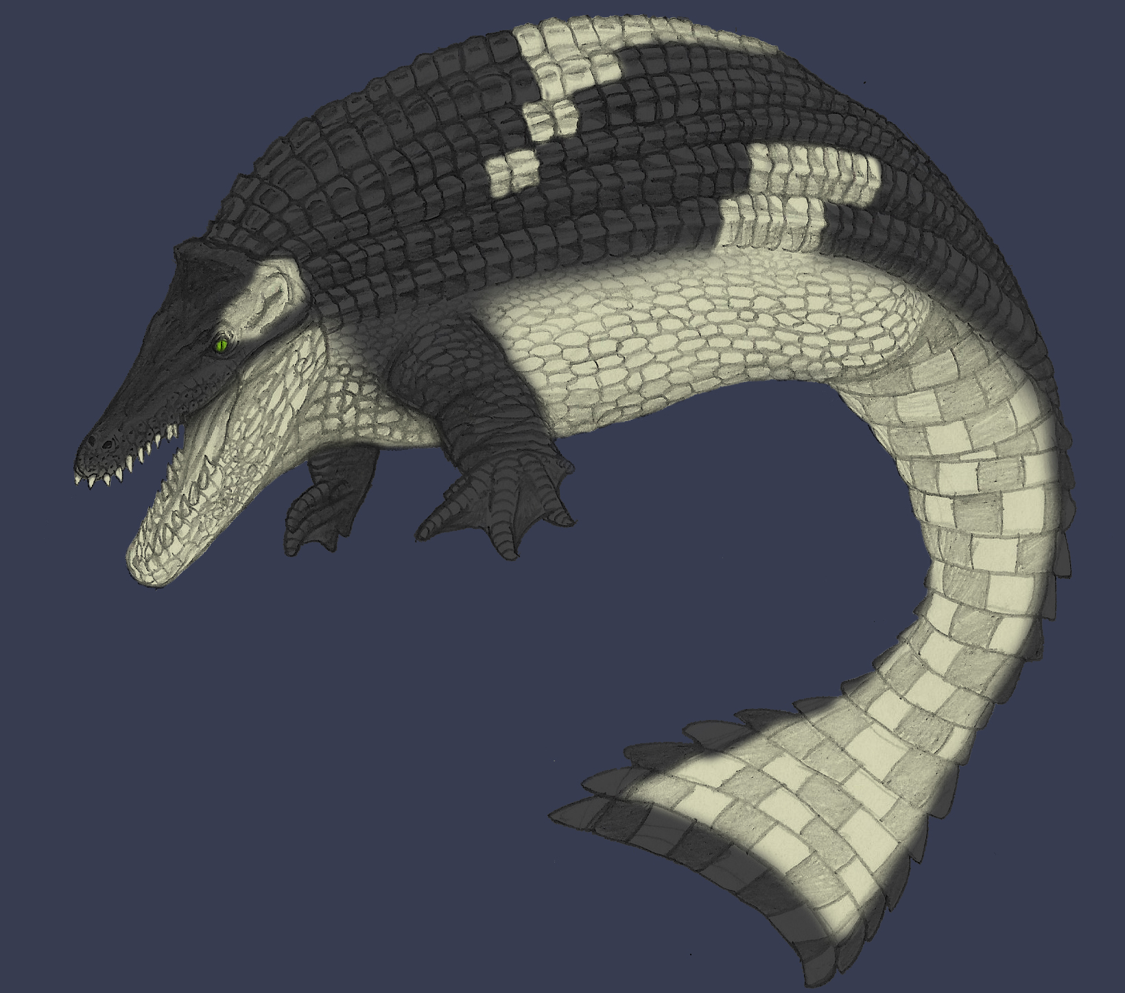 "Orca but it's a crocodilian" by kingrexy : r/SpeculativeEvolution