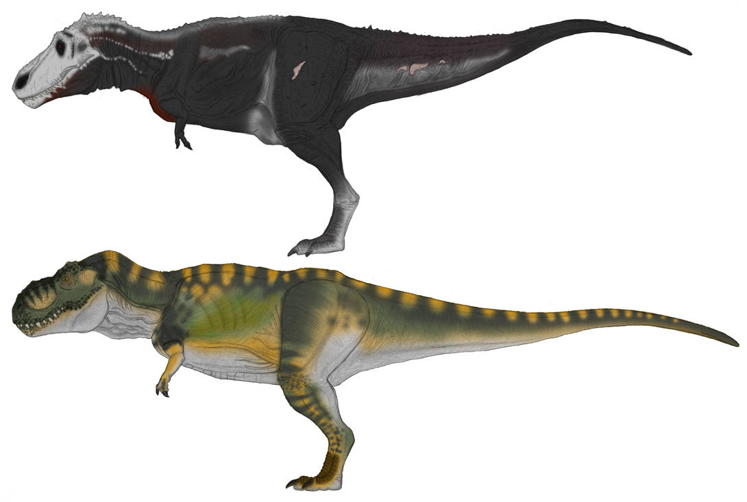 Stumpy and Bullrex by kingrexy on DeviantArt