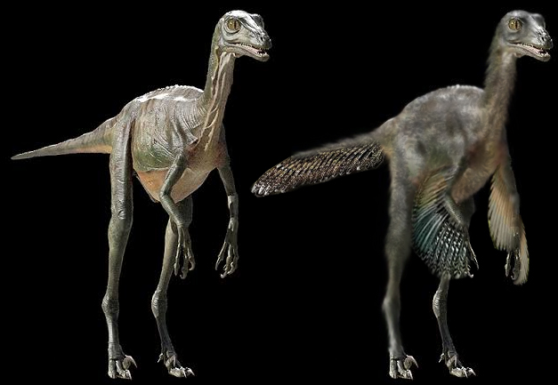 Stenonychosaurus by kingrexy on DeviantArt