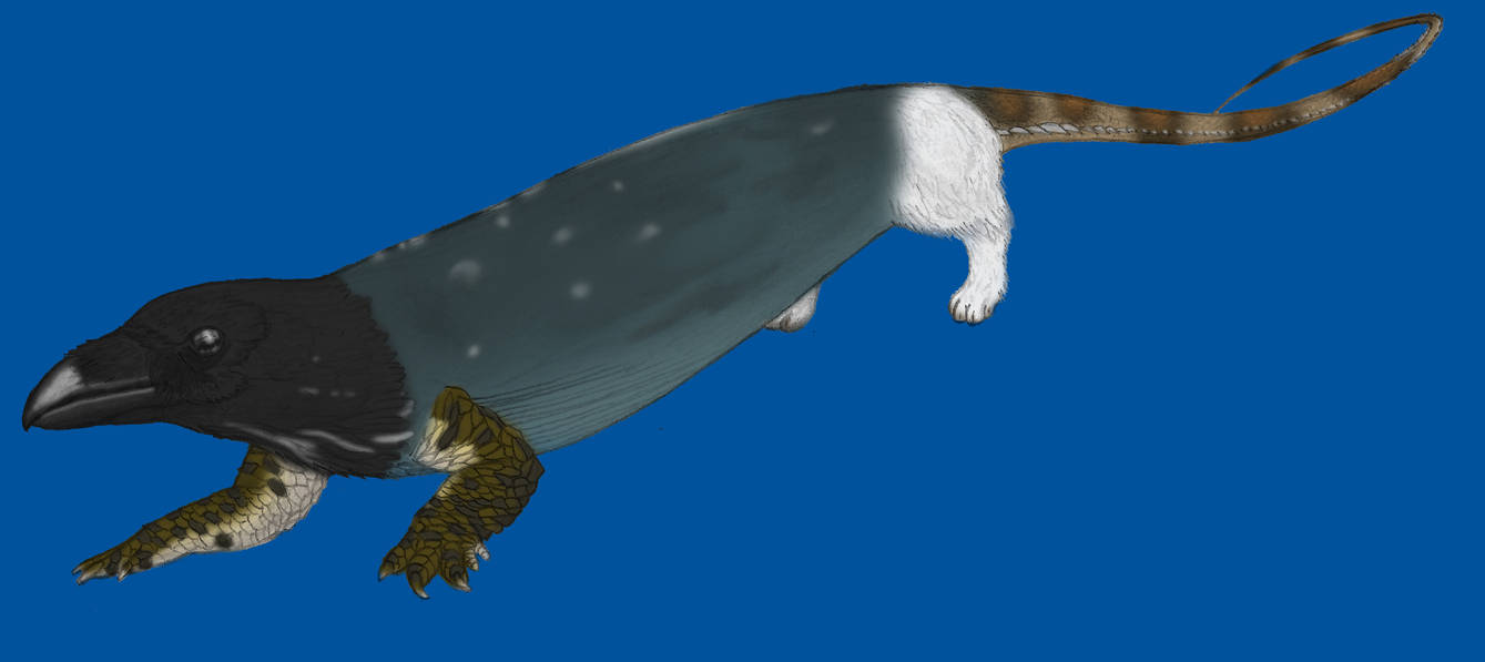 Chimera by kingrexy on DeviantArt