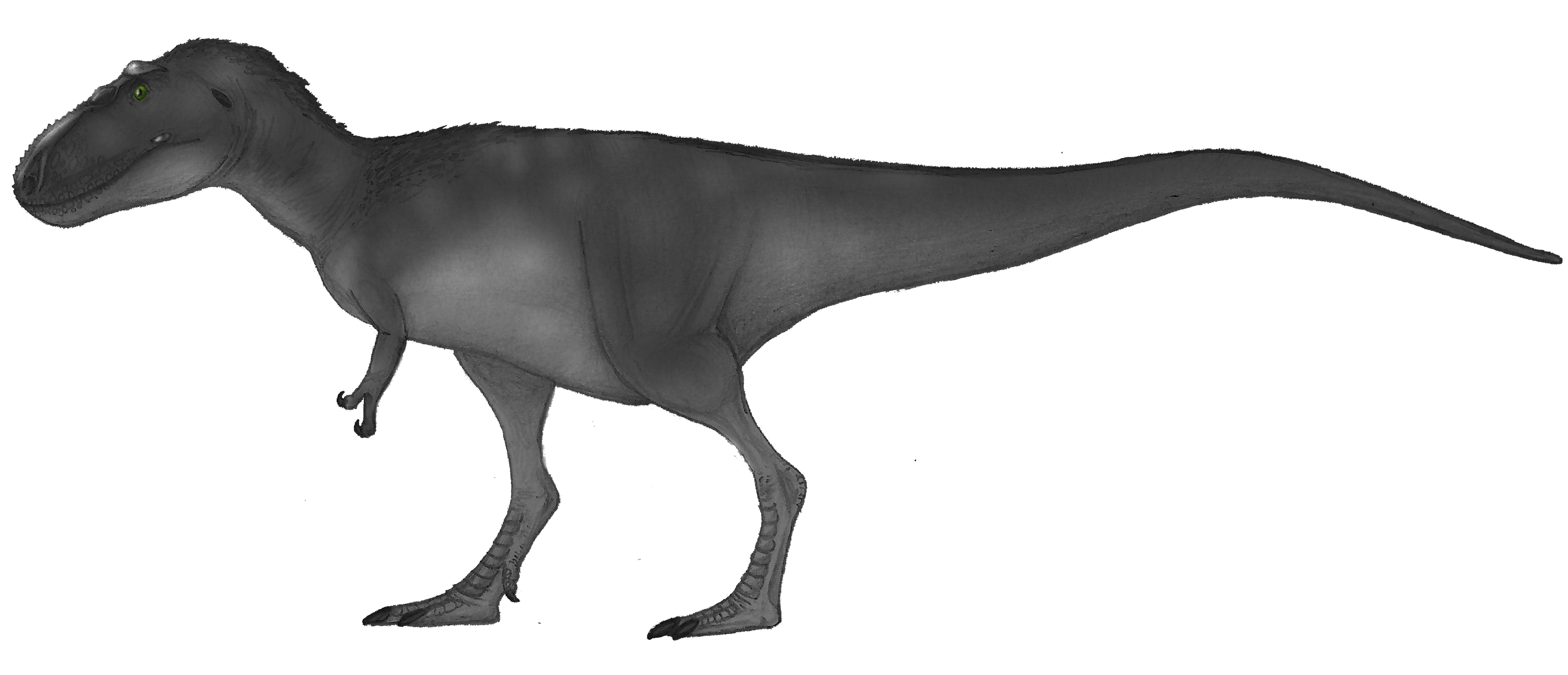 Nanuqsaurus hoglundi by kingrexy on DeviantArt