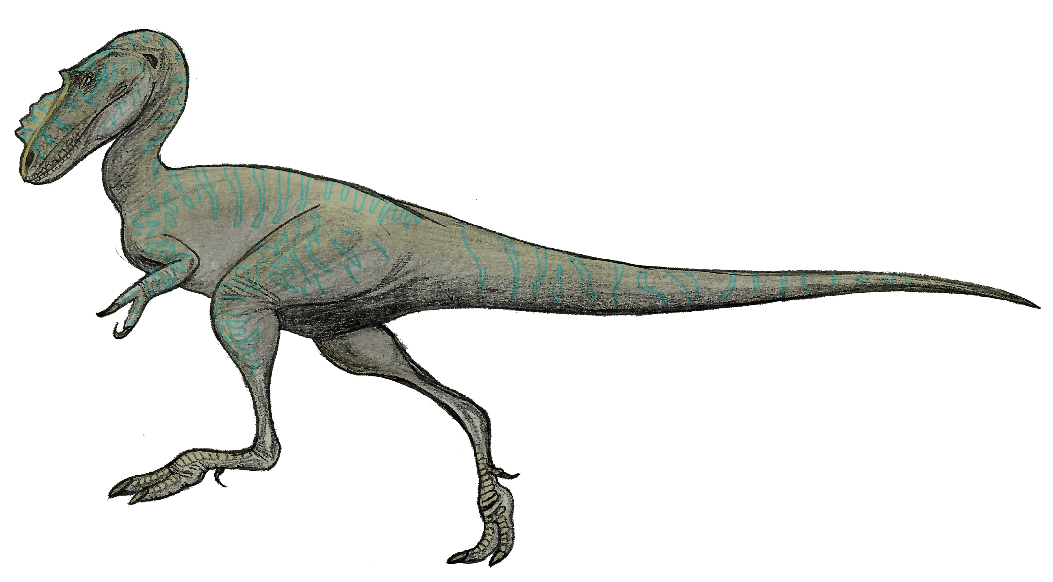 Alioramus remotus by kingrexy on DeviantArt