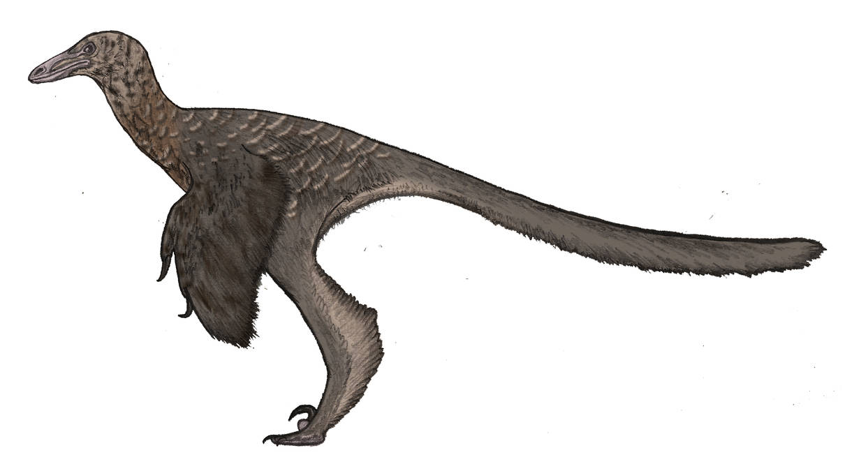 Shanag by kingrexy on DeviantArt