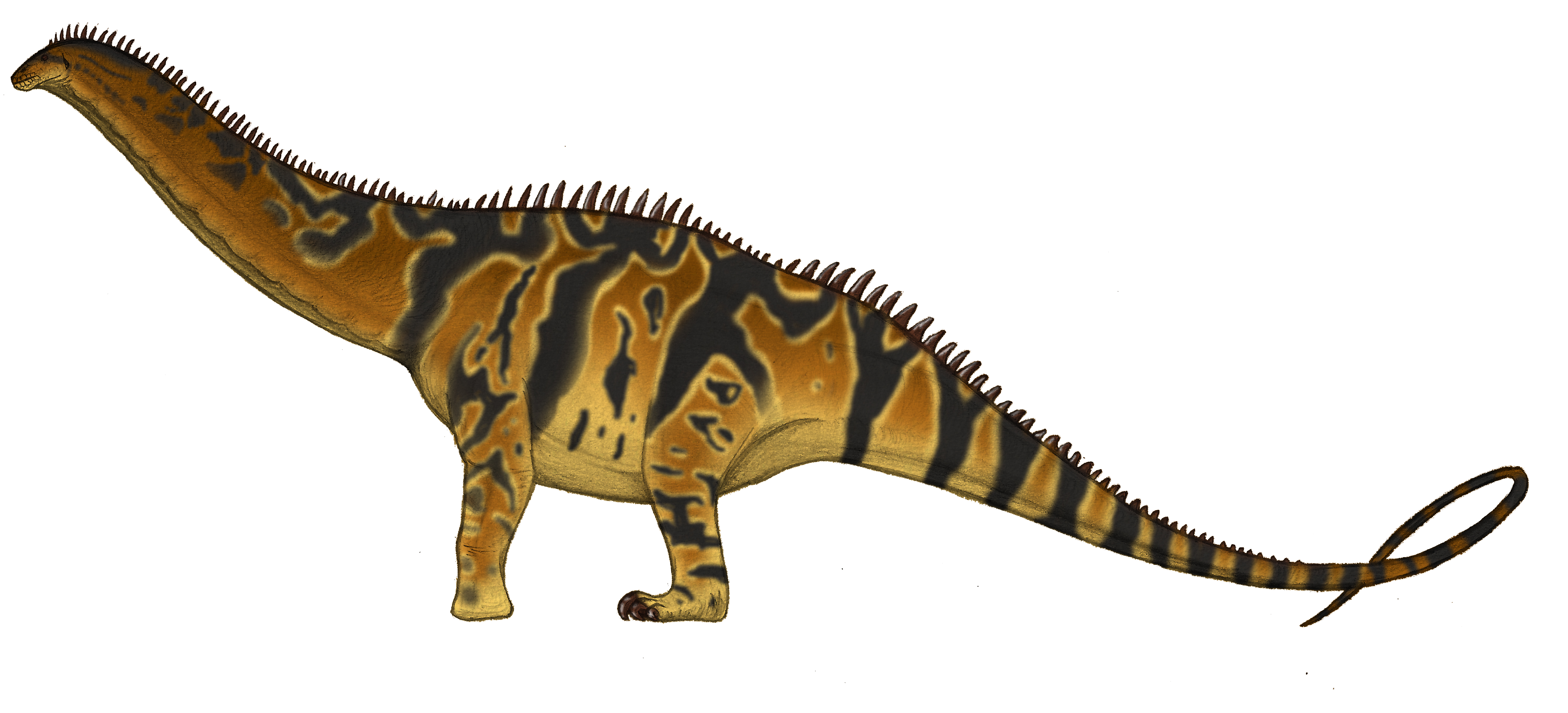 Apatosaurus louisae by kingrexy on DeviantArt