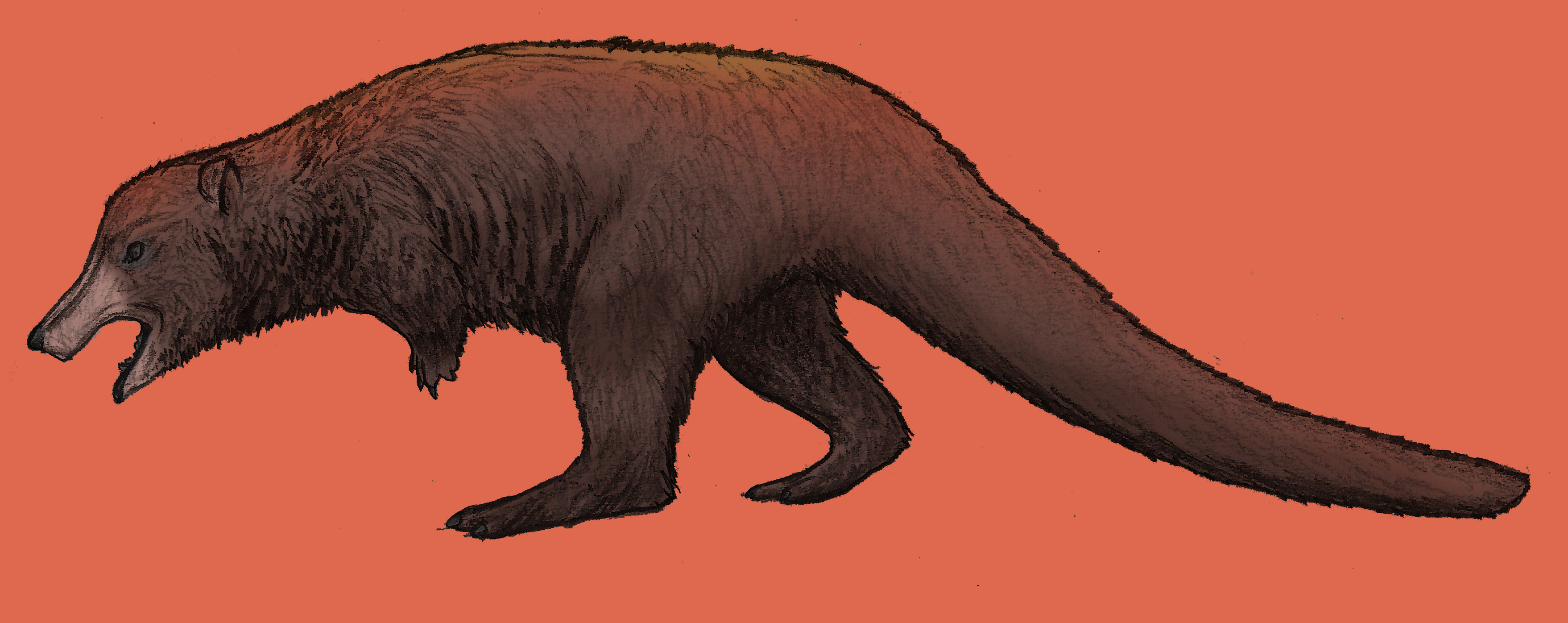 Pachy but Bear by kingrexy on DeviantArt