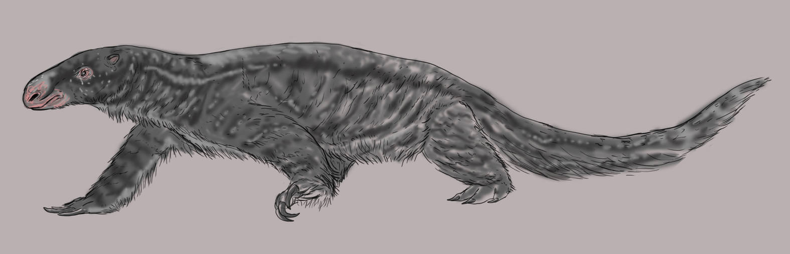 Megalania but it's a Megathere by kingrexy on DeviantArt
