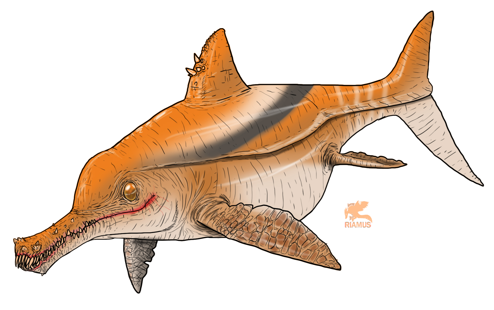 Commission 5 - Ichthyosaurus by kingrexy on DeviantArt