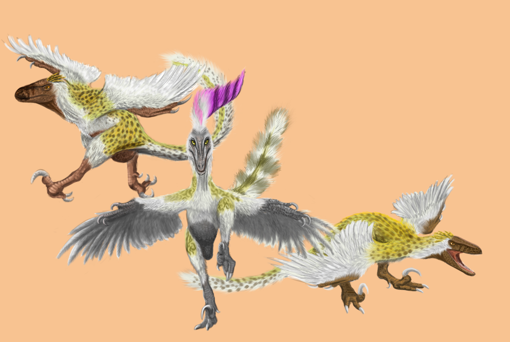 Dino Niku Sue by kingrexy on DeviantArt