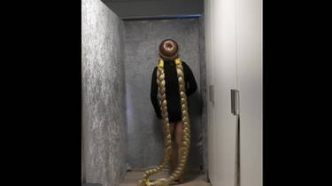 Wrapped Up In Sindel's Hair by HairTickle on DeviantArt