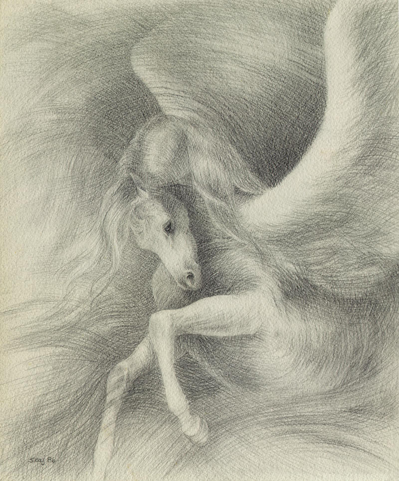 Hope is Such a Fragile Thing by ArtbySandiJohnson on DeviantArt
