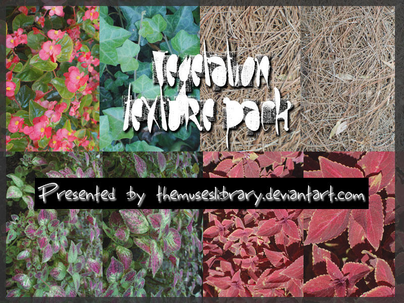 Textures: Vegetation PACK by themuseslibrary on DeviantArt