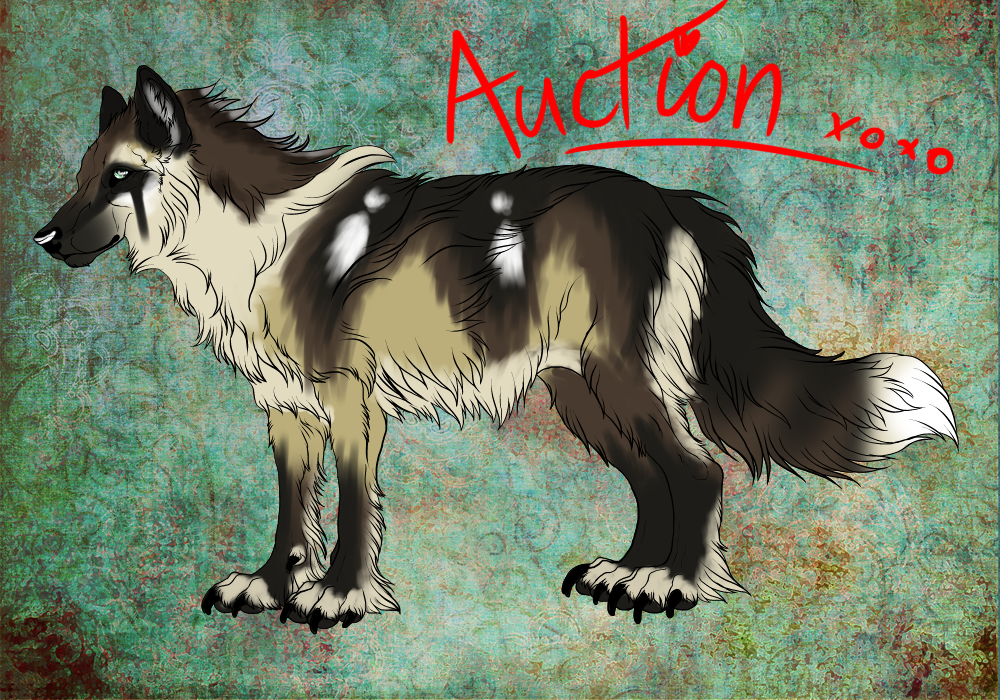 WOLF AUCTION-FELINE ADOPTABLES -FINAL- by AnimalAdoptionAgency on ...