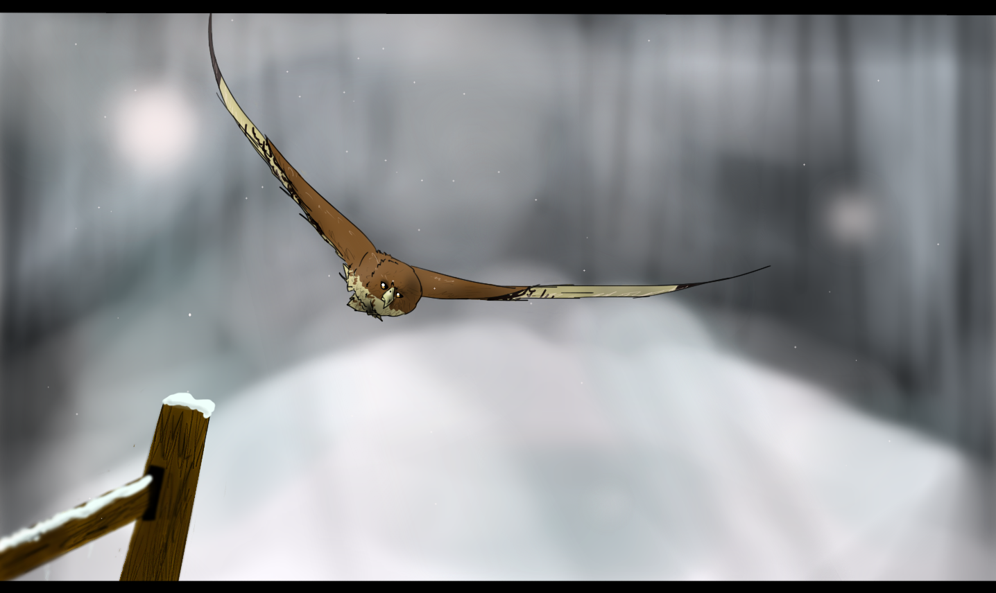 Hawk Snow by PhantomDragon62 on DeviantArt
