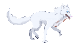 Wolf Walk Cycle Animation by Raf1993 on DeviantArt