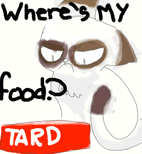 cute grumpy cat drawing by 3dzgirl on DeviantArt