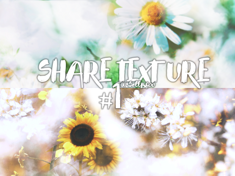 SHARE TEXTURE #1 by sSellBboo on DeviantArt