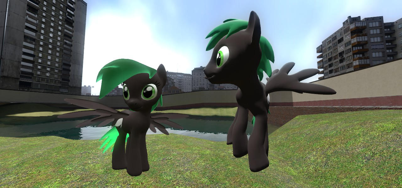 sukotto mlp oc by MaxSilverfox on DeviantArt