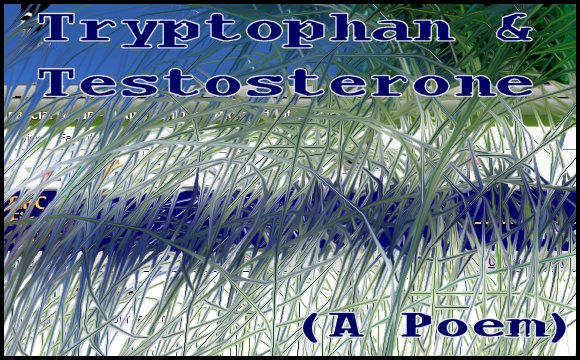 Tryptophan and Testosterone by R-u-D-d-Y on DeviantArt