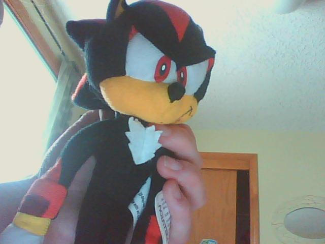 Shady (Shadow) Knight the Hedgehog by RoseOfTheNight4444 on DeviantArt