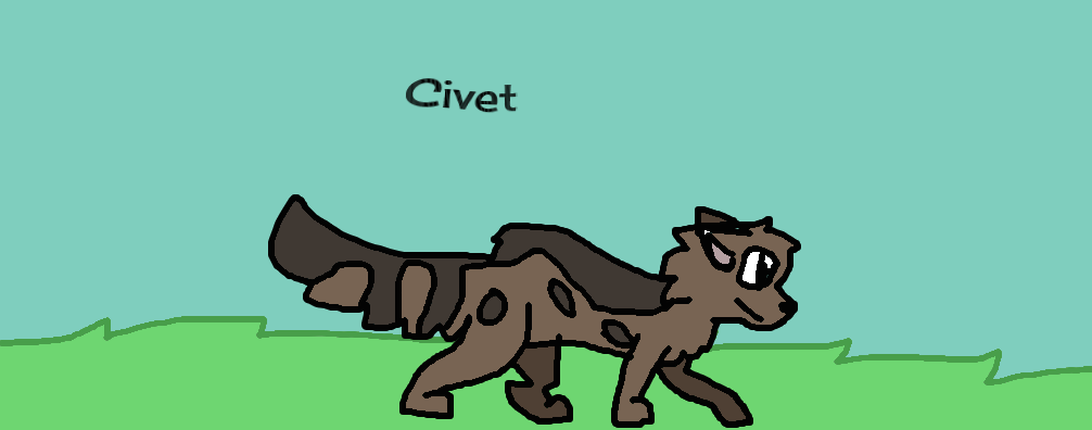 Civet Drawing by warriorcats334 on DeviantArt