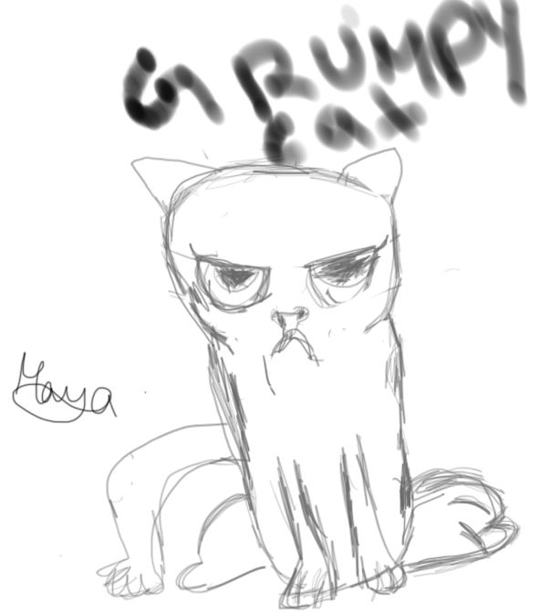 Grumpy Cat by mayalovesartx on DeviantArt