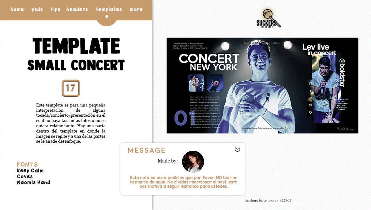 Template 17: Small Concerts by SuckRes0urces on DeviantArt