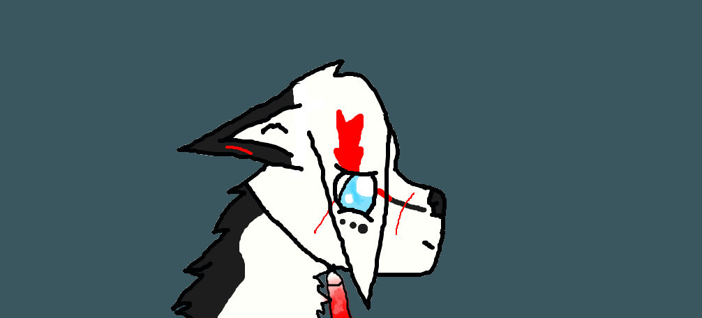 wolf contest by lpsmadison995 on DeviantArt